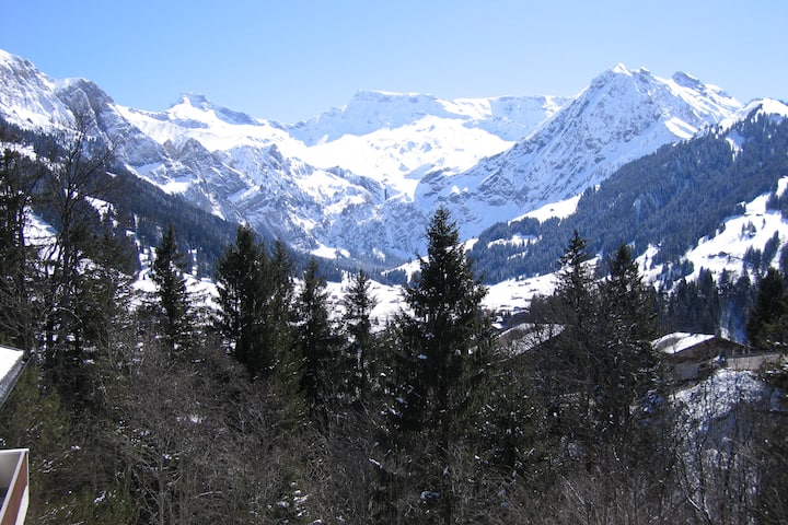 Helle Ferienwohnung Im Heimeligen Chalet Sperber - Frutigen