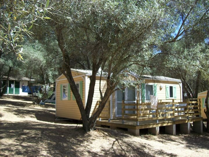 Mobil-home 2 Chambres - Balogna