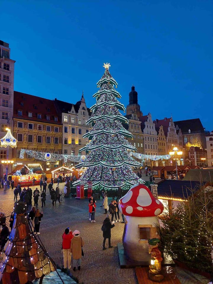 Rynek Pod Fredrą - Wrocław