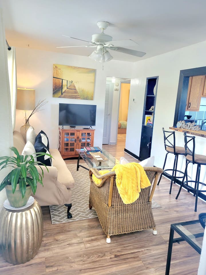 Entire 2 Bdrm Home 15mins To Beach & Dntwn St Pete - St. Petersburg, FL