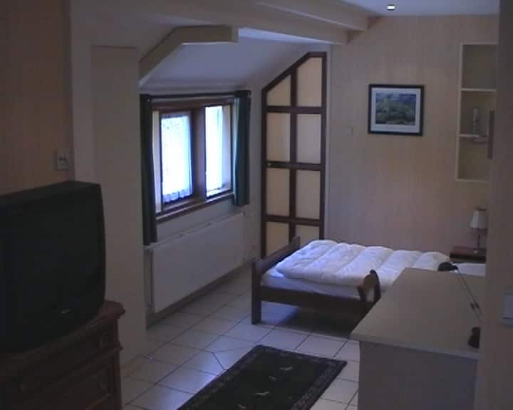 Guesthouse De Sluis-3 - Genk