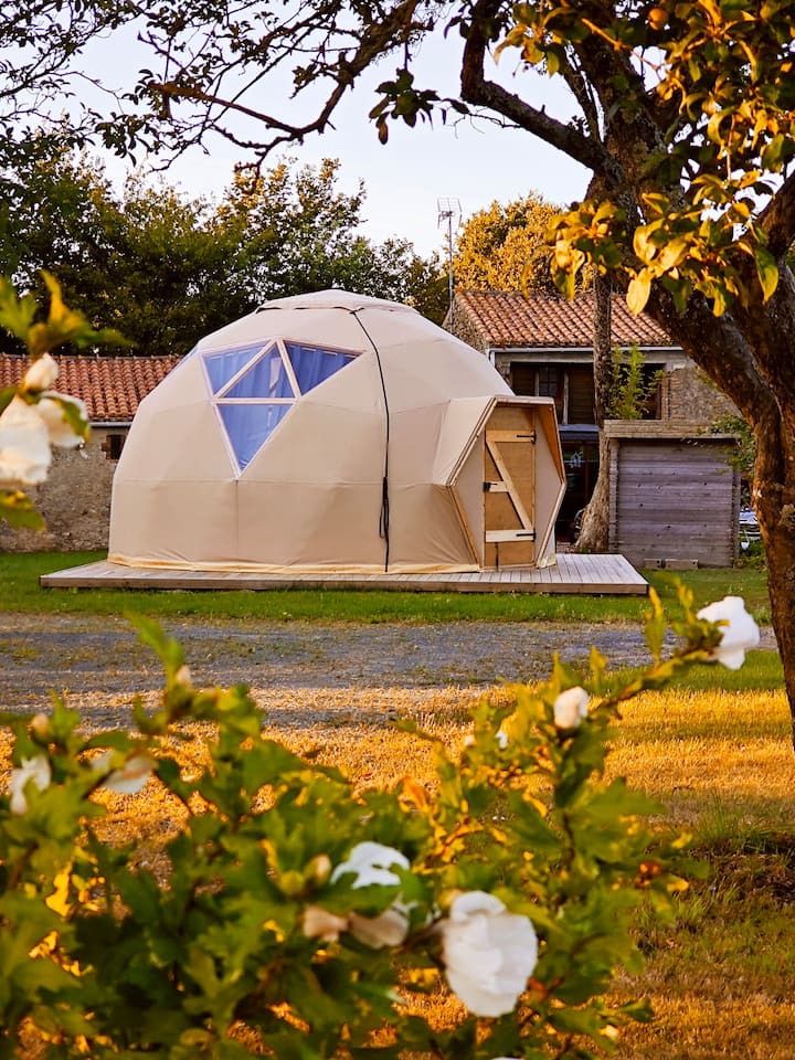 N°12 - Voyage Cosmique *°Dôme*°*sous Les ÉToiles*° - Vendée