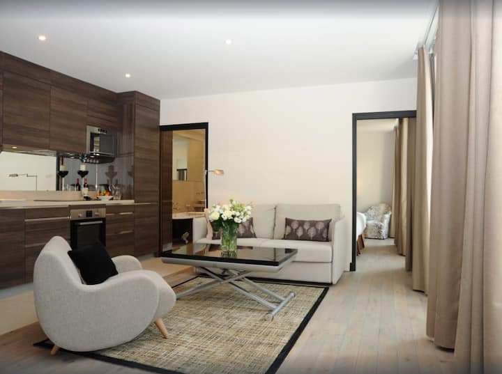 Quartier Prestigieux Rue Saint Honoré / Louvre/3 P - Paris