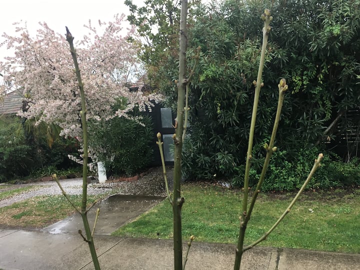 Plantation House. 
103a Mitre Street Bathurst 2795 - Bathurst