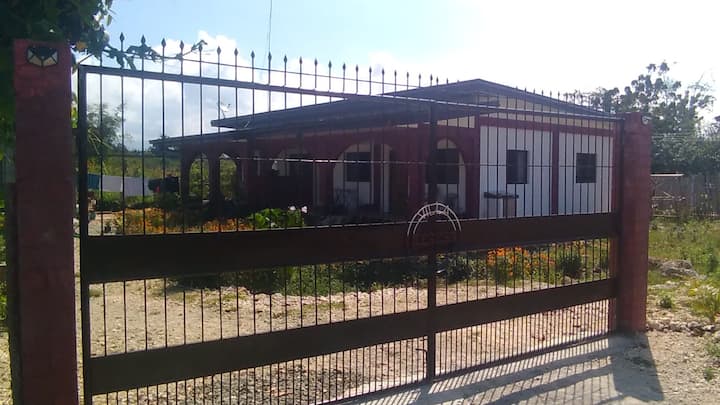 Teresa House Rental(villa Teresa Phi):ignaziohome - Moalboal