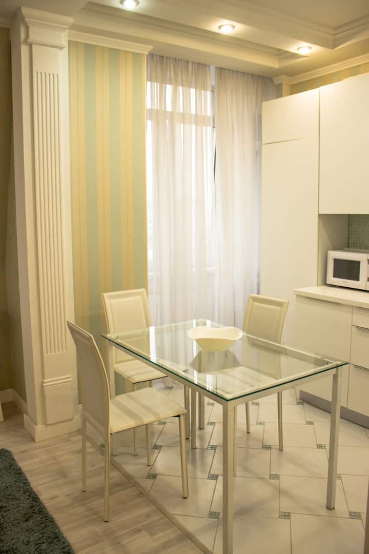Large Studio Flat In The Heart Of The City Center - Chișinău
