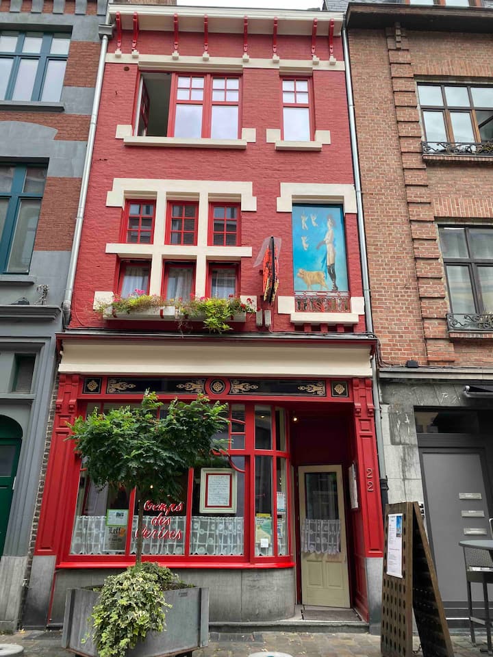 Les Cerisettes - Un Duplex Dans Le Centre De Namur - Namur