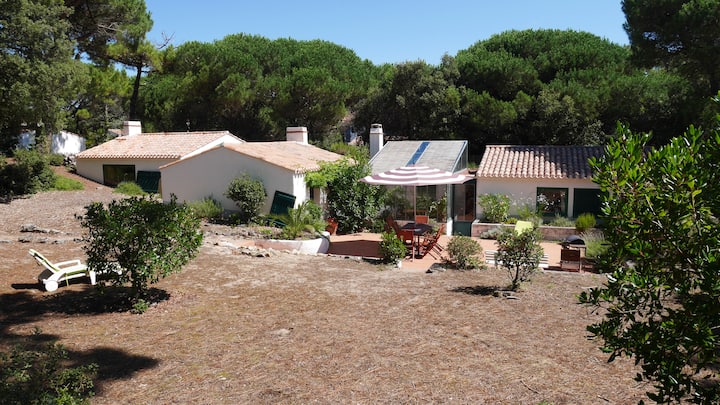 Grande Maison De Vacances - Noirmoutier-en-l'Île