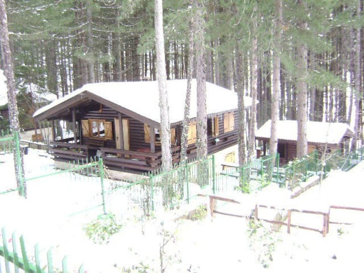 Chalet Artistico A Camigliatello - Camigliatello Silano