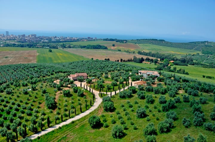 La Piccola Olivastraia - Follonica