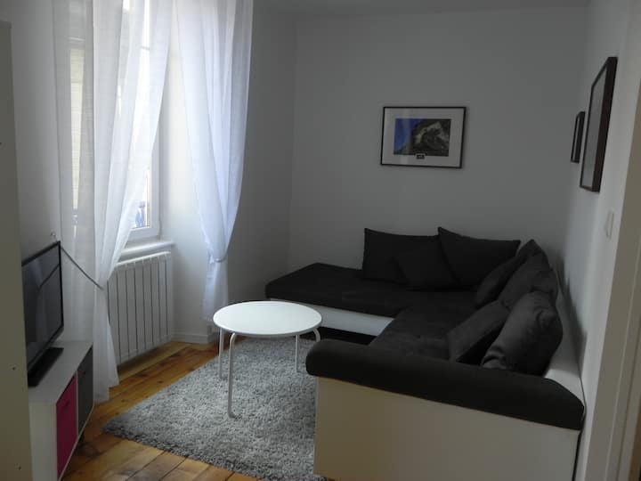 Escale Belfortaine - F2 - Centre Ville Terrasse - Ibis Belfort Danjoutin