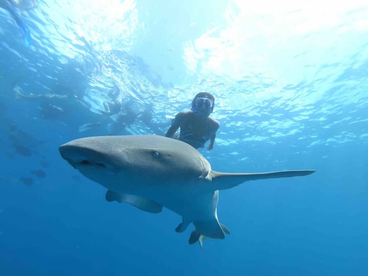 Stingray Beach Inn
Tropical Luxuries At Maafushi. - Maldives