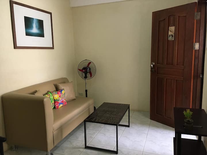 Homey Apartment In Puerto Princesa City - Puerto Princesa
