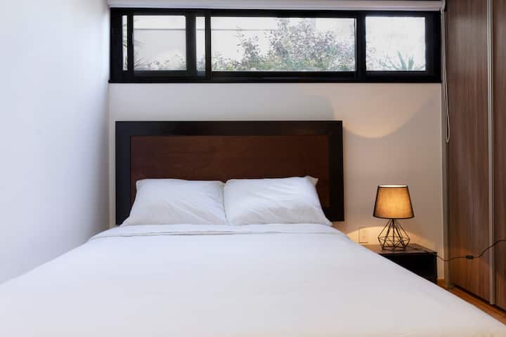 Suite - Querétaro
