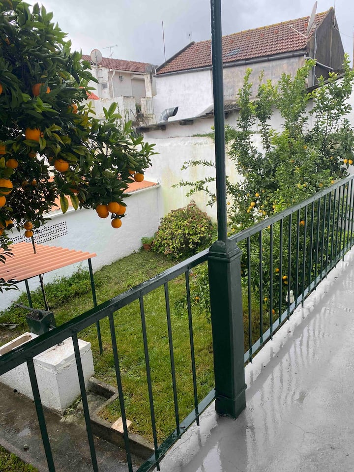 Sunny 3 Bedroom Garden Apt In Tomar - Tomar