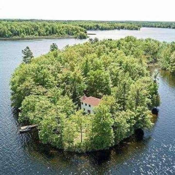 Disconnect On This Beautiful Island Property - Kawartha Lakes