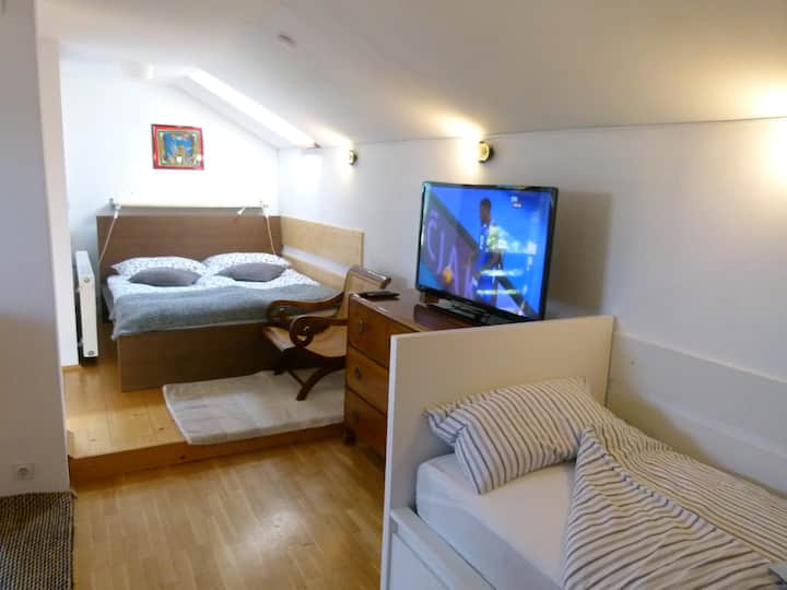 A Spacious And Bright Apartment - Radovljica