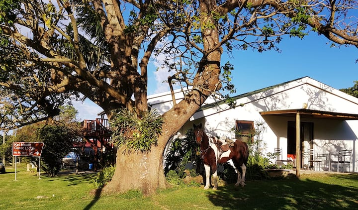 18 On Coral- 3 Bedroom, Pet Friendly Holiday Home. - Kei Mouth