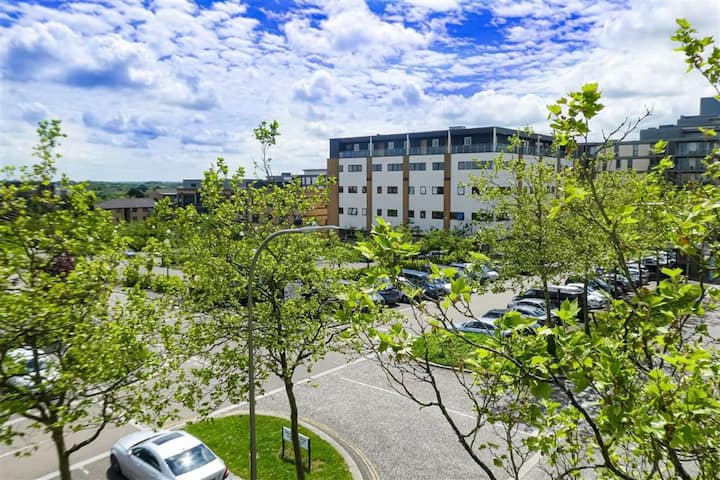 Quiet Apartment @Cmk Close To City & Station #13 - Milton Keynes
