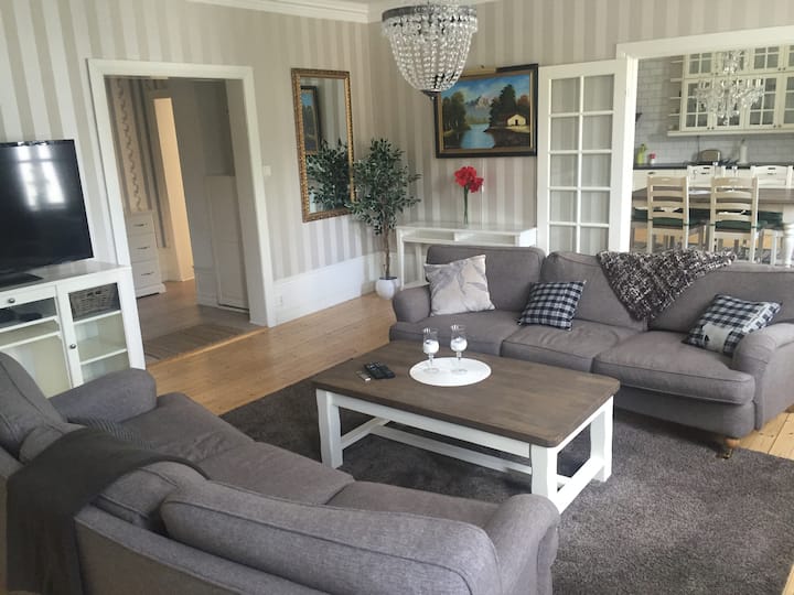 Unique 19th Century Apt In City, Wi-fi And Parking - Uppsala