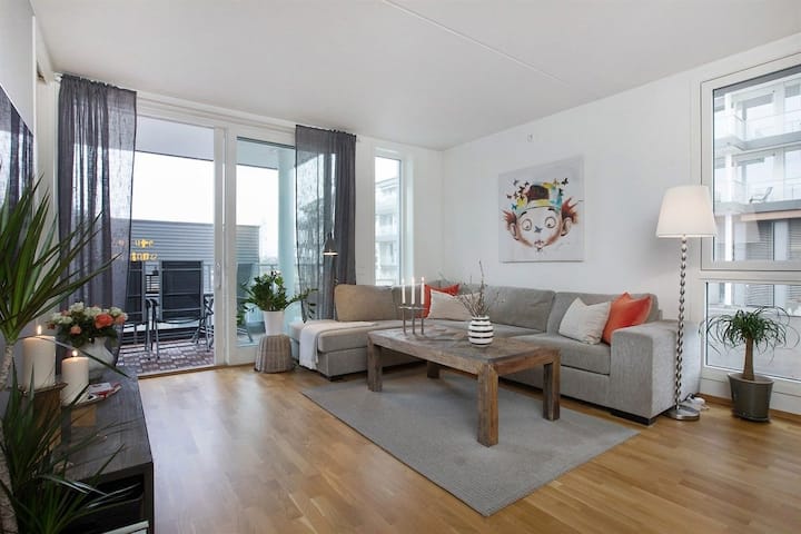 Newer Spacious 1 Bedroom With Central Location. - Oslo