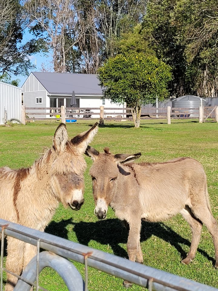 979 Cottage -Feed Animals, Pedal Cart Track, Creek - Coramba