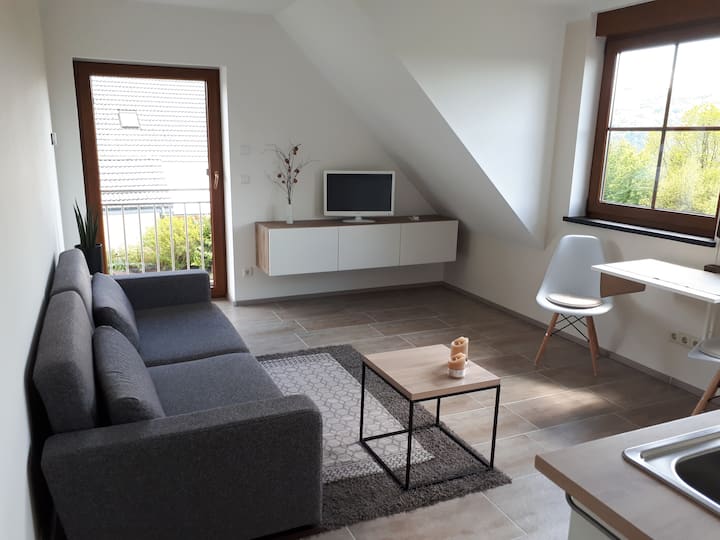 Modernes 2-zimmer Appartement An Der Schönen Mosel - Hahn