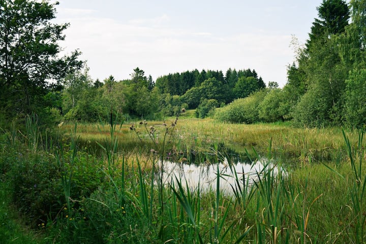 Skovhuset - Naturoase I Fredelige Omgivelser - Dinamarca
