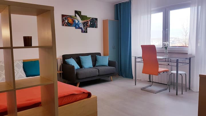 Alt Saarbrücken. Apartment Mit Einen Grosse Balkon - Sarrebruck