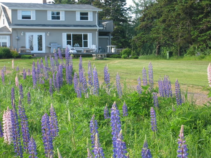 Sea Seekers - Million $ View - Prince Edward Island