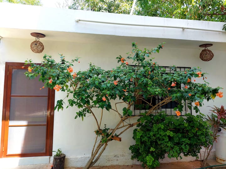 Estudio Sak-nah Tulum 🌴🏡 - Tulum