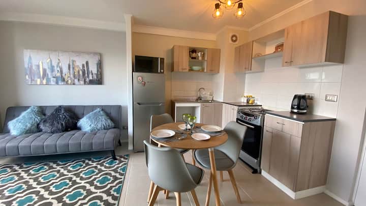 Hermoso Depto C/estacionamiento - Concepción