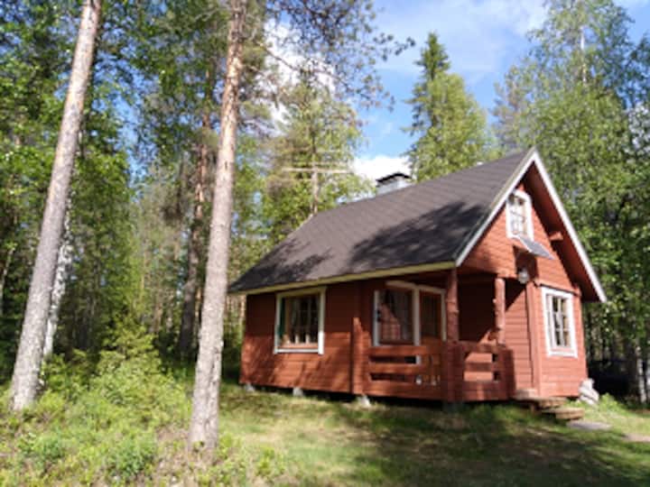 Kuuntele Mitä Luonto Sinulle Kuiskailee-eteläranta - Kainuu