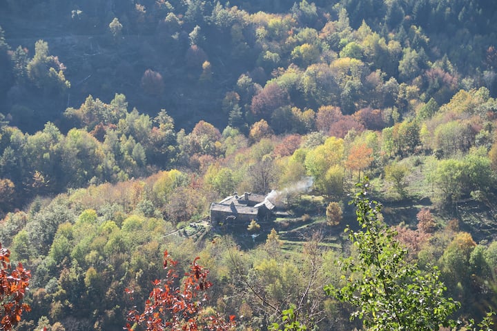 Mas La Devèze : Gîte à La Ferme Bio " La Bergerie" - Pont-de-Montvert-Sud-Mont-Lozère