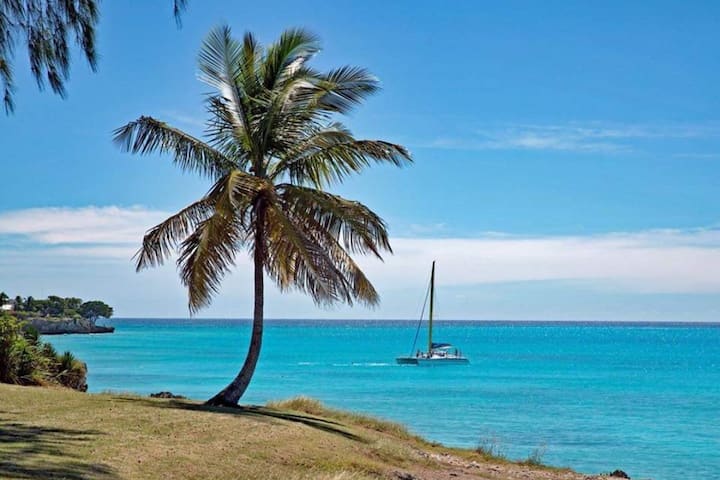 Half Moon Bay Paradise On The South Coast - Barbados