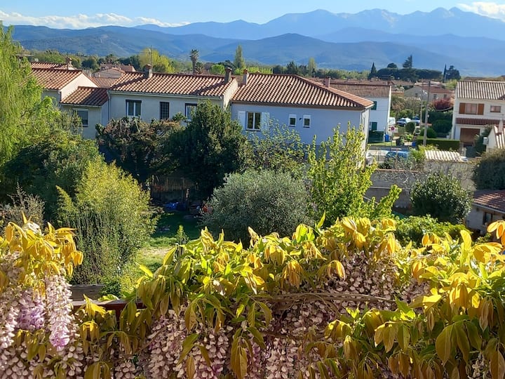 Grande Maison Claire Avec Jardin - Ille-sur-Têt