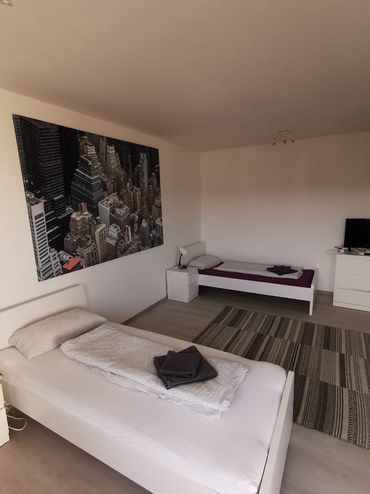 Biberach-ummendorf-top Wohnung Mit Aussicht & Lift - Biberach an der Riß