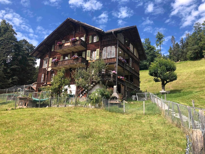 Chalet Berna Dachwohnung - Faulensee