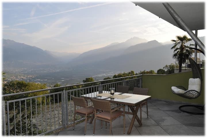 Sonnenblume Pr. Vitalhof Niederhof - Lana