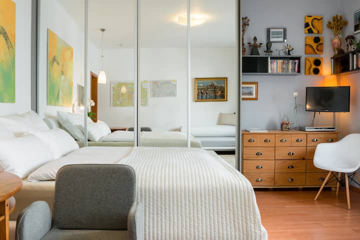 Centrally Located Apartment Prague - Praga