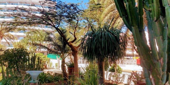 Kaktusy - Maspalomas