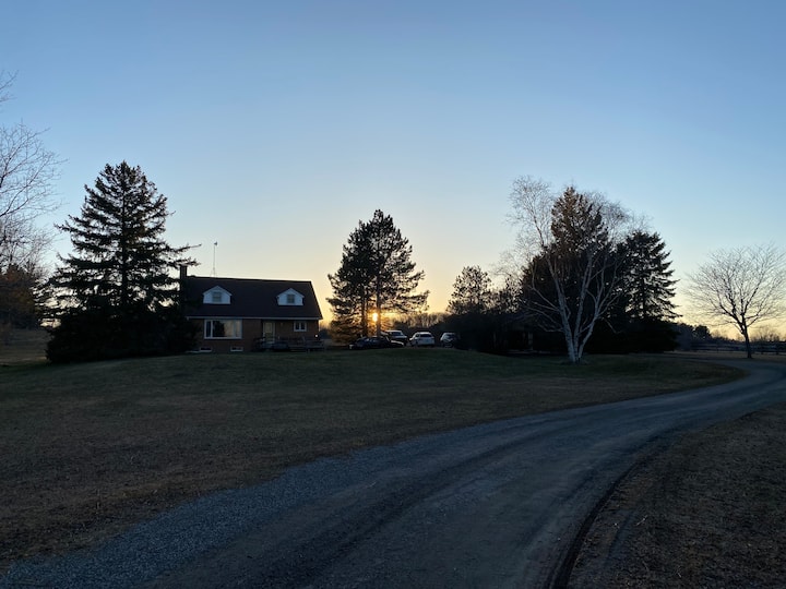 Paradise In The Country - Alliston