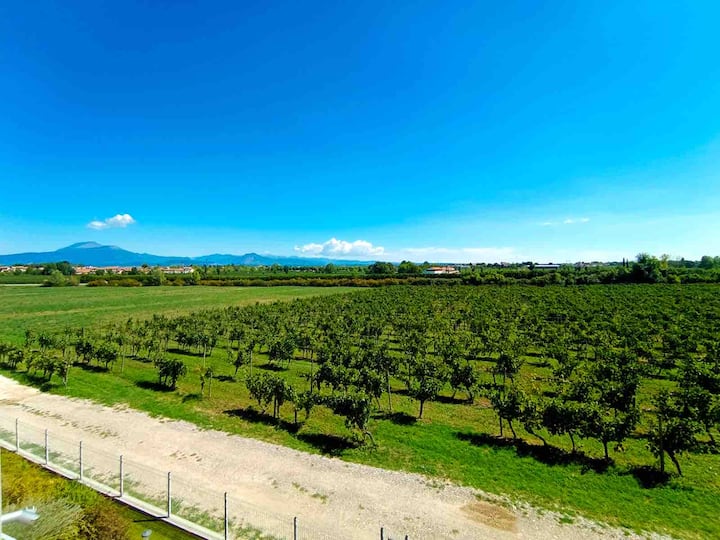 Residenza Turistica Il Vigneto - Peschiera del Garda