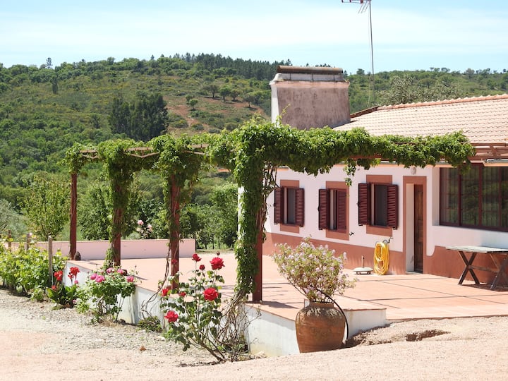 Casas Da Serra D’ossa - Casa Do Pomar - Estremoz