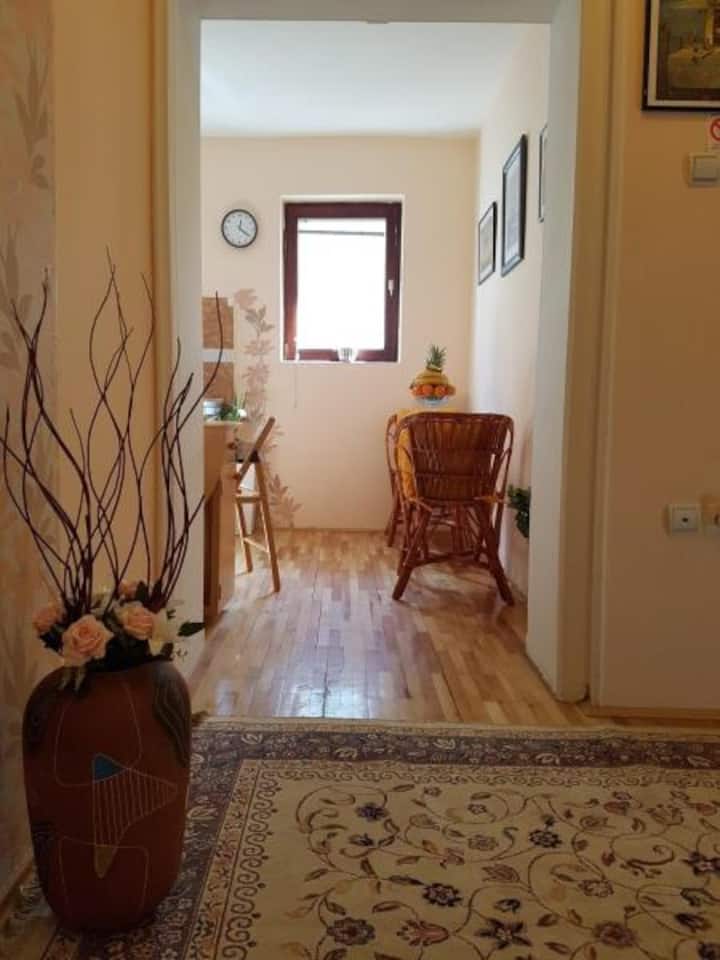 Laušev Garden - Subotica