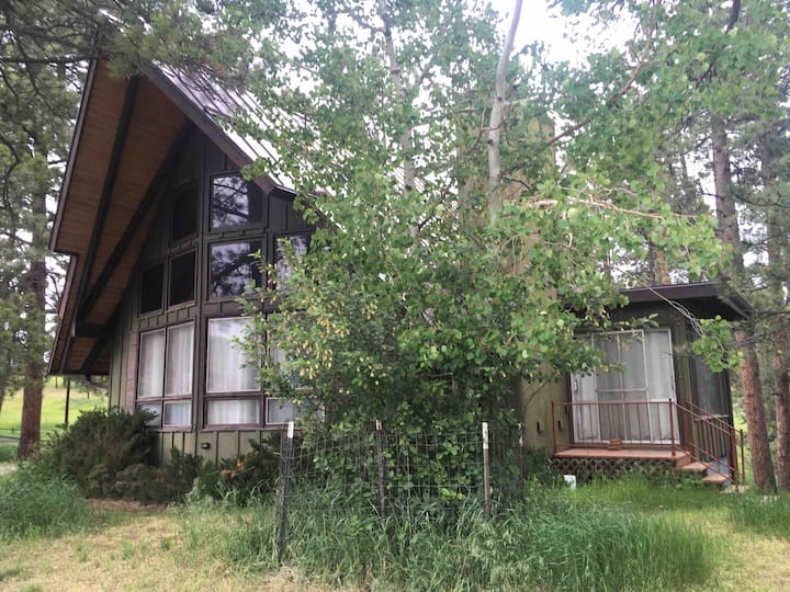 Colorado Mountain Home, Peaceful Near Red Rocks Co - Evergreen, CO
