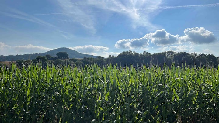 Dörnbergblick - Zierenberg