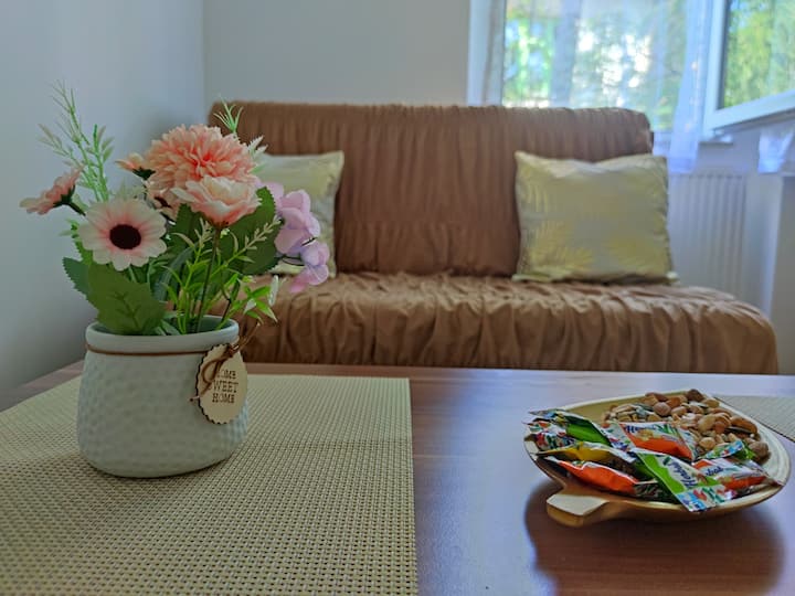 Spacious & Renovated Apartment In The City Center - Sarajevo