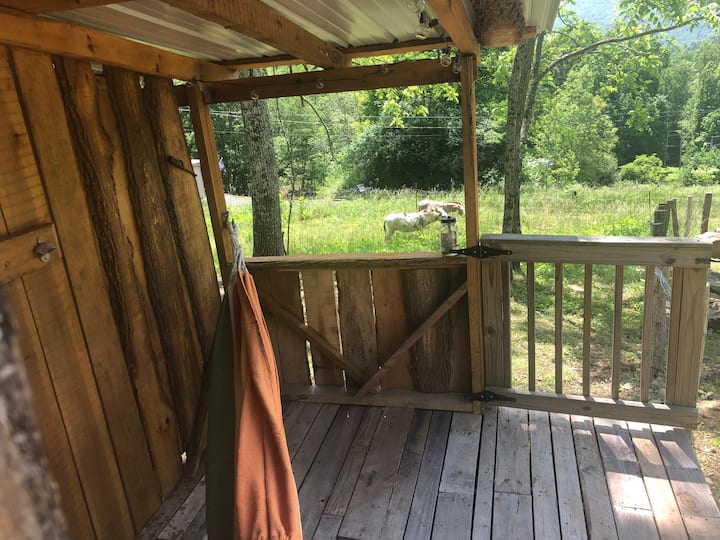 Mountain Shack With Friendly Animals And A View! - Carolina del Norte