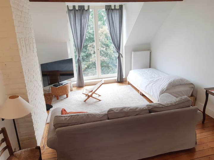 Bright And Restful Duplex Near Brussels Center - 布魯塞爾